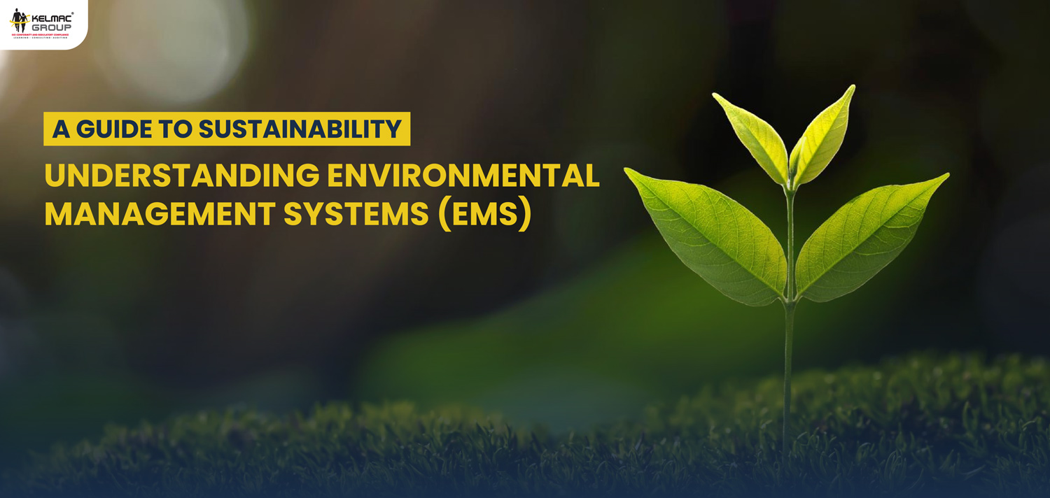Understanding Environmental Management Systems (EMS) - A Guide to Sustainability